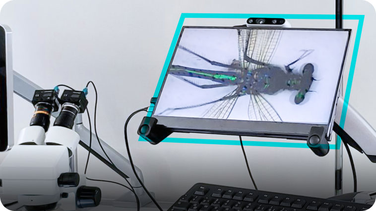 Light Field 3D Display Technology Leader | MOPIC